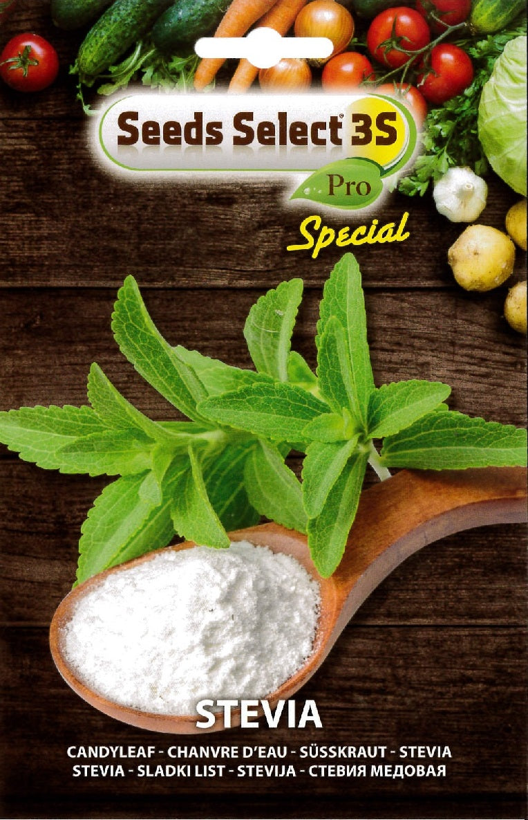 STEVIA (CIRCA 30 SEMI) – Seeds Select Pro