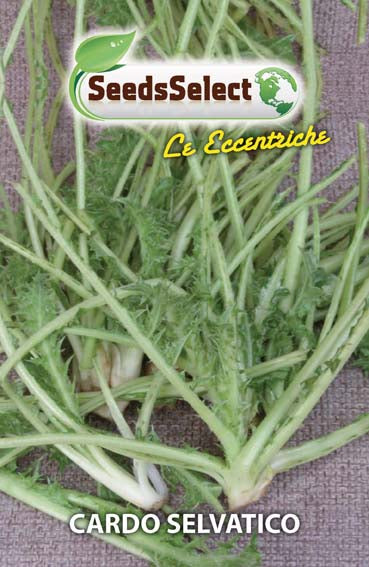 Cardo Selvatico – Seeds Select Pro